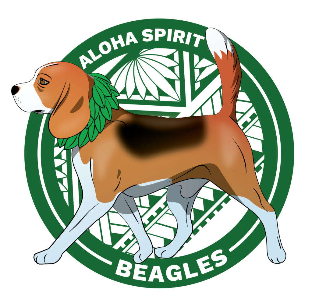 Retired – Aloha Spirit Beagles
